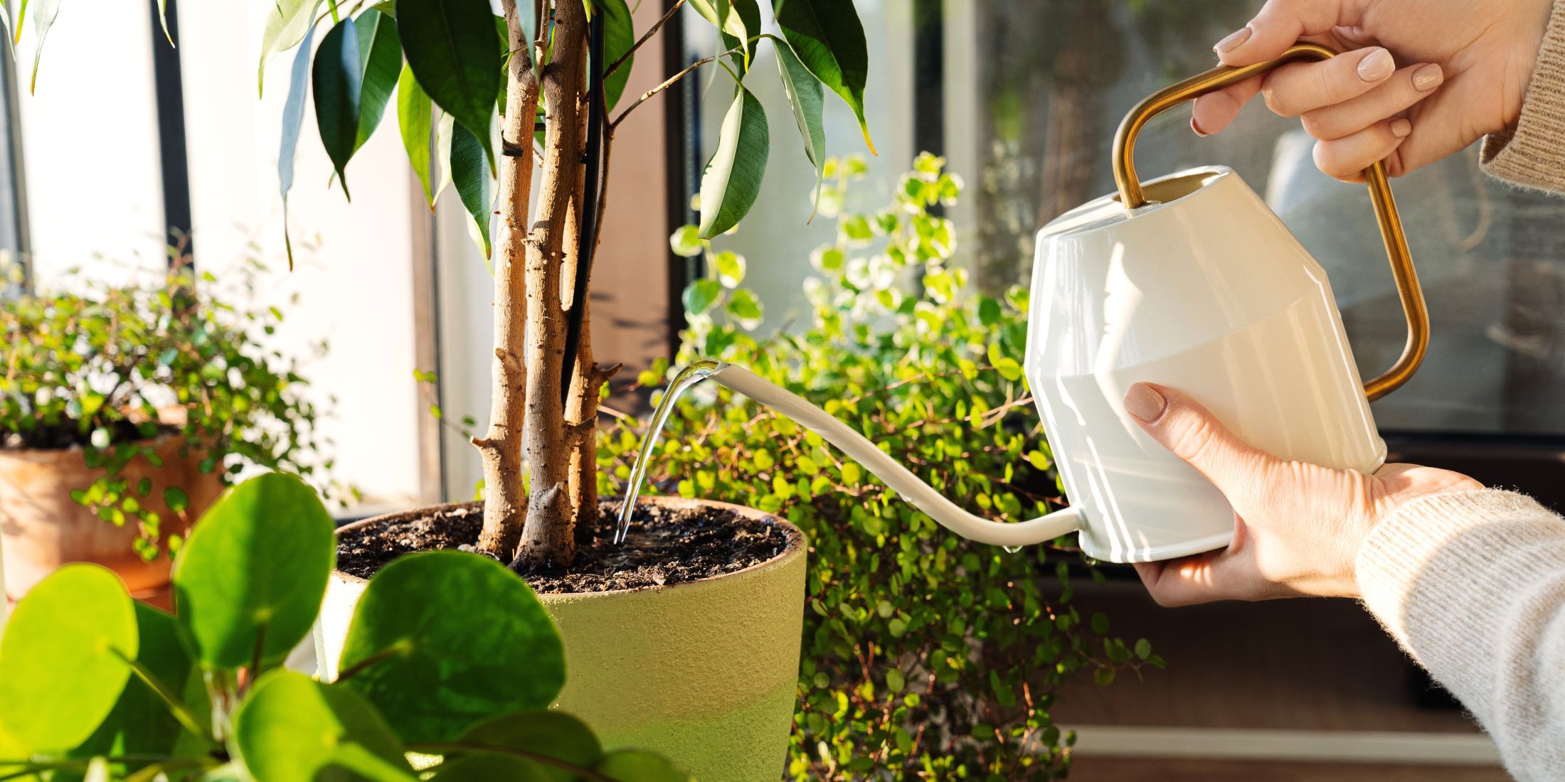 Los 3 grandes beneficios de vivir entre la naturaleza: guía definitiva